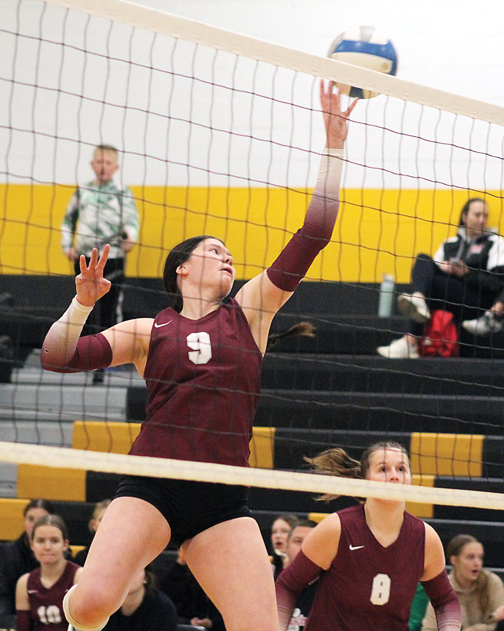 Wilfahrt soars in senior year | News, Sports, Jobs - The Journal